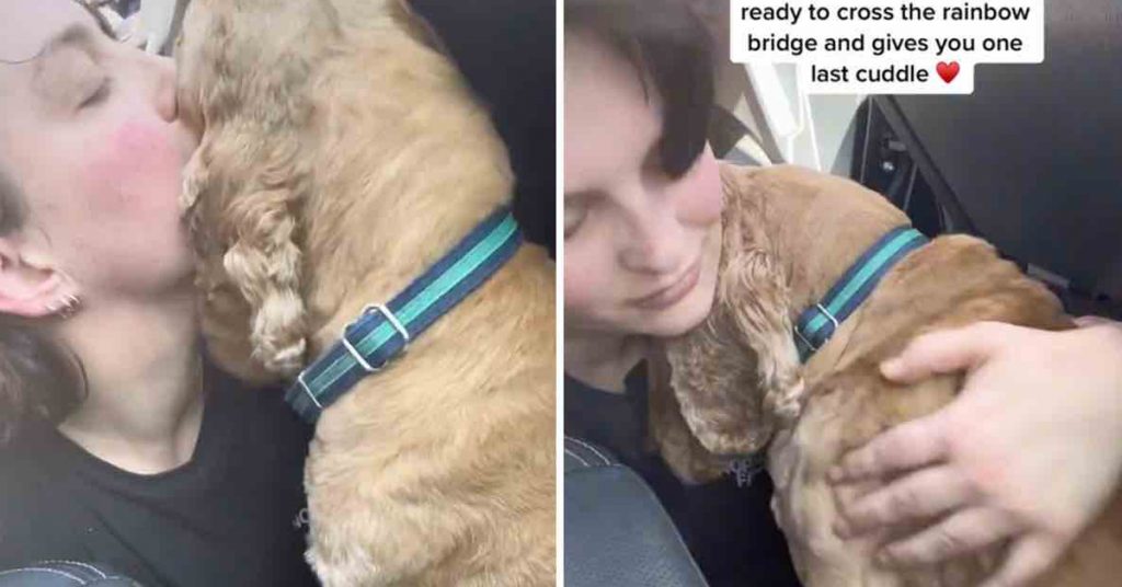 Dying dog shares emotional farewell with owner moments before ...