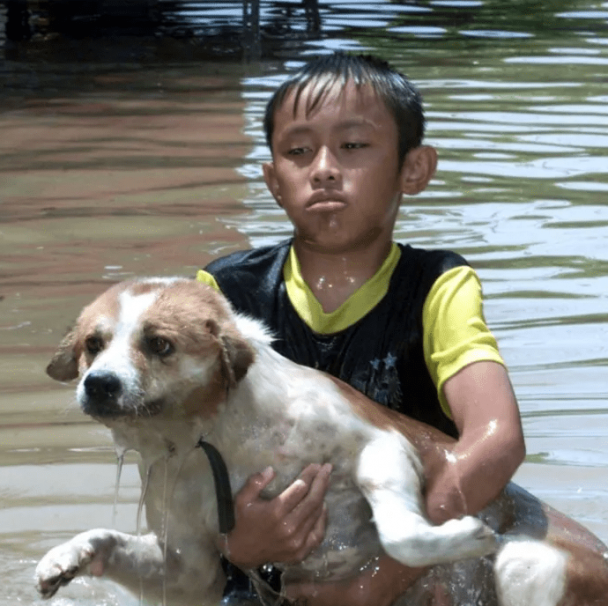 The 8-year-old orphan’s determination to carry the poor dog through the ...
